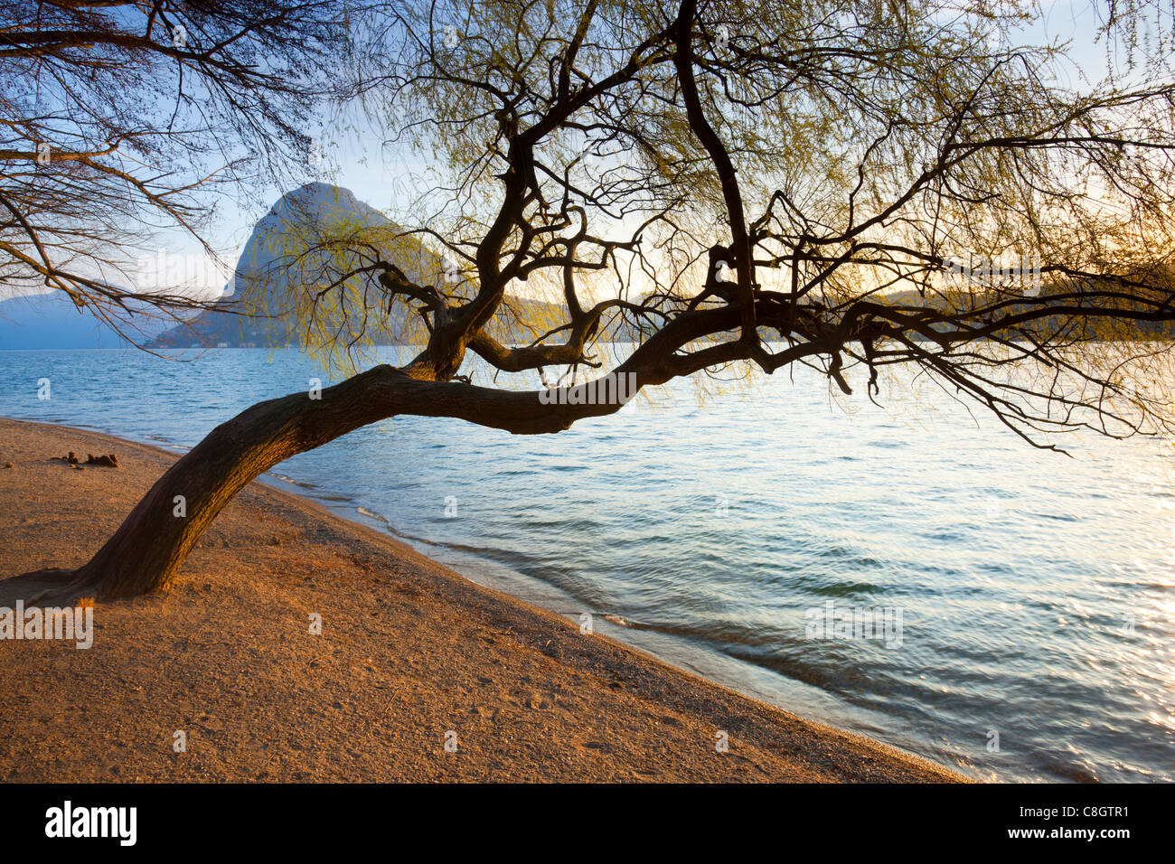 Lago di Lugano, Switzerland, Europe, canton, Ticino, lake, shore, park ...