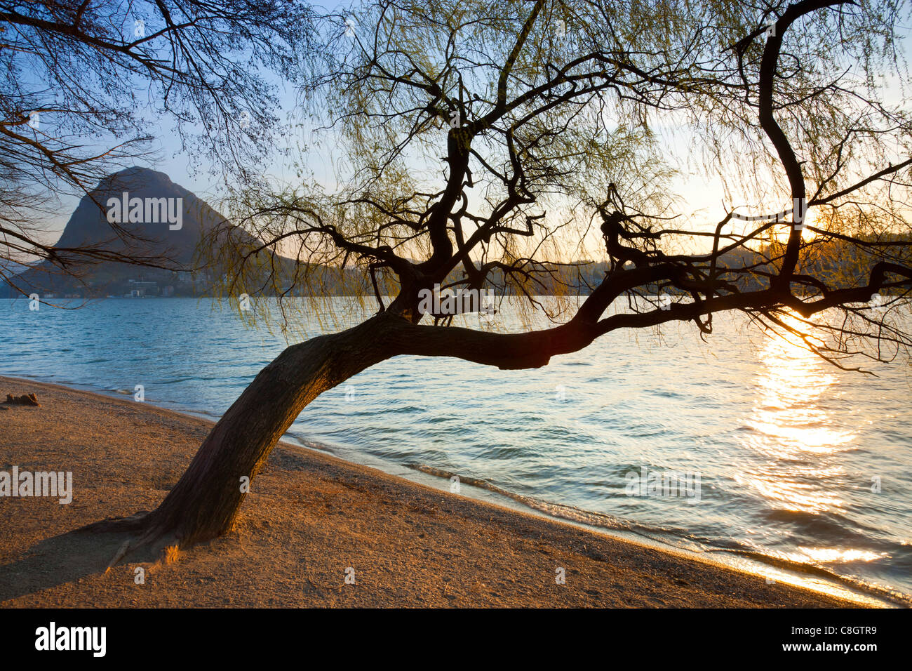 Lago di Lugano, Switzerland, Europe, canton, Ticino, lake, shore, park ...