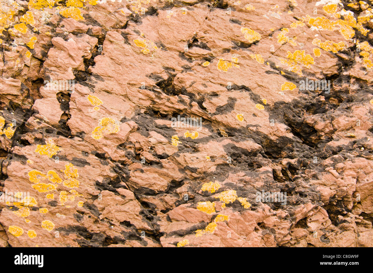 Rock with Lichen Stock Photo - Alamy