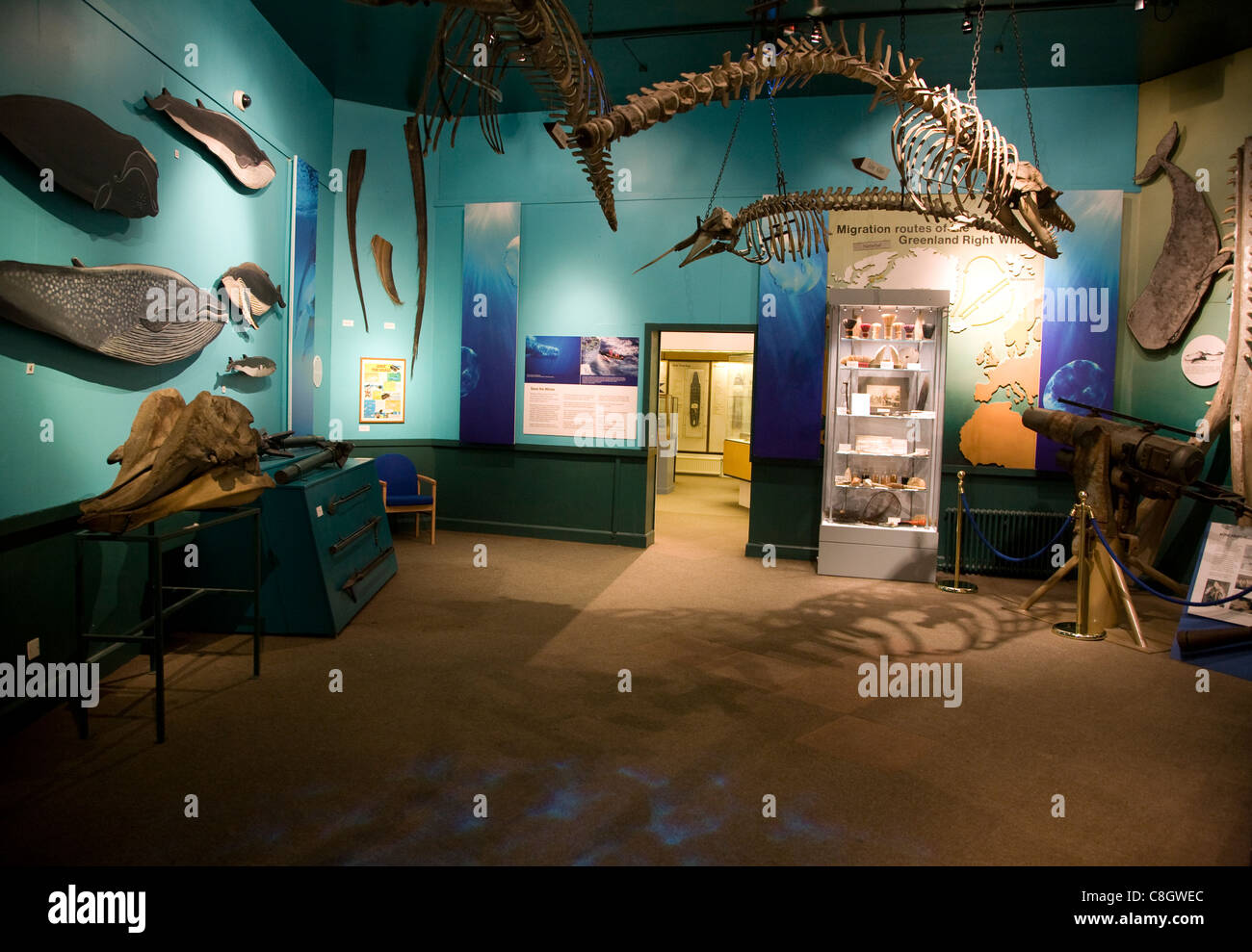Whaling exhibition Inside the Maritime museum, Hull, Yorkshire, England ...