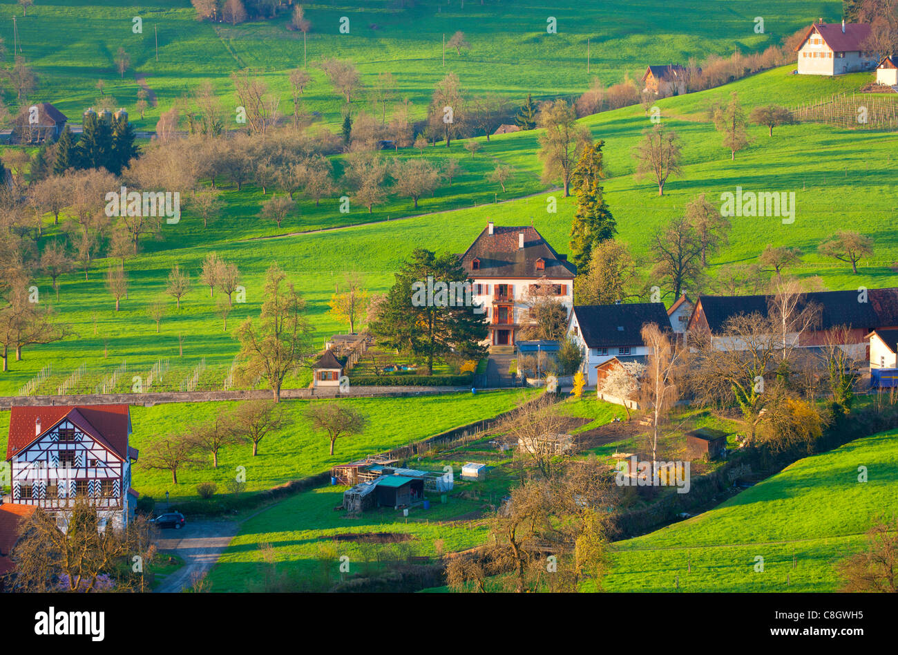 Thal, Switzerland, Europe, canton St. Gallen, Rhine Valley, houses ...