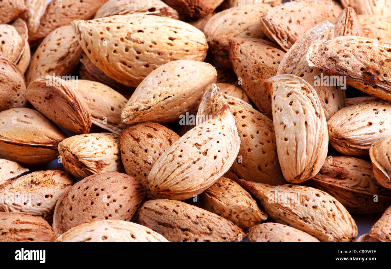 Seeds nuts display hi-res stock photography and images - Alamy