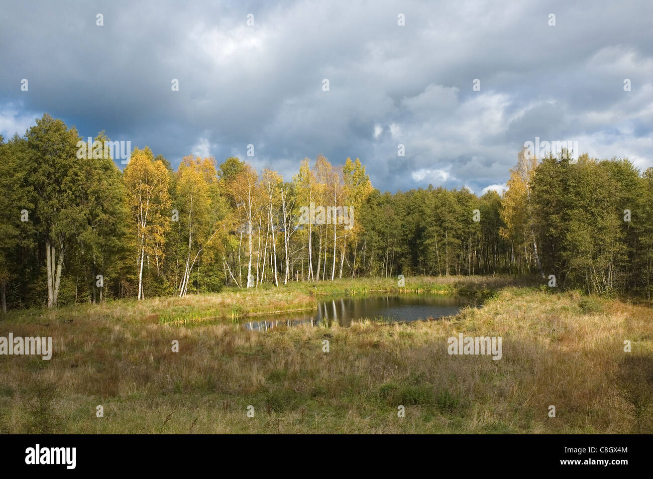 Polish lake district - Masuria in autumn Stock Photo - Alamy