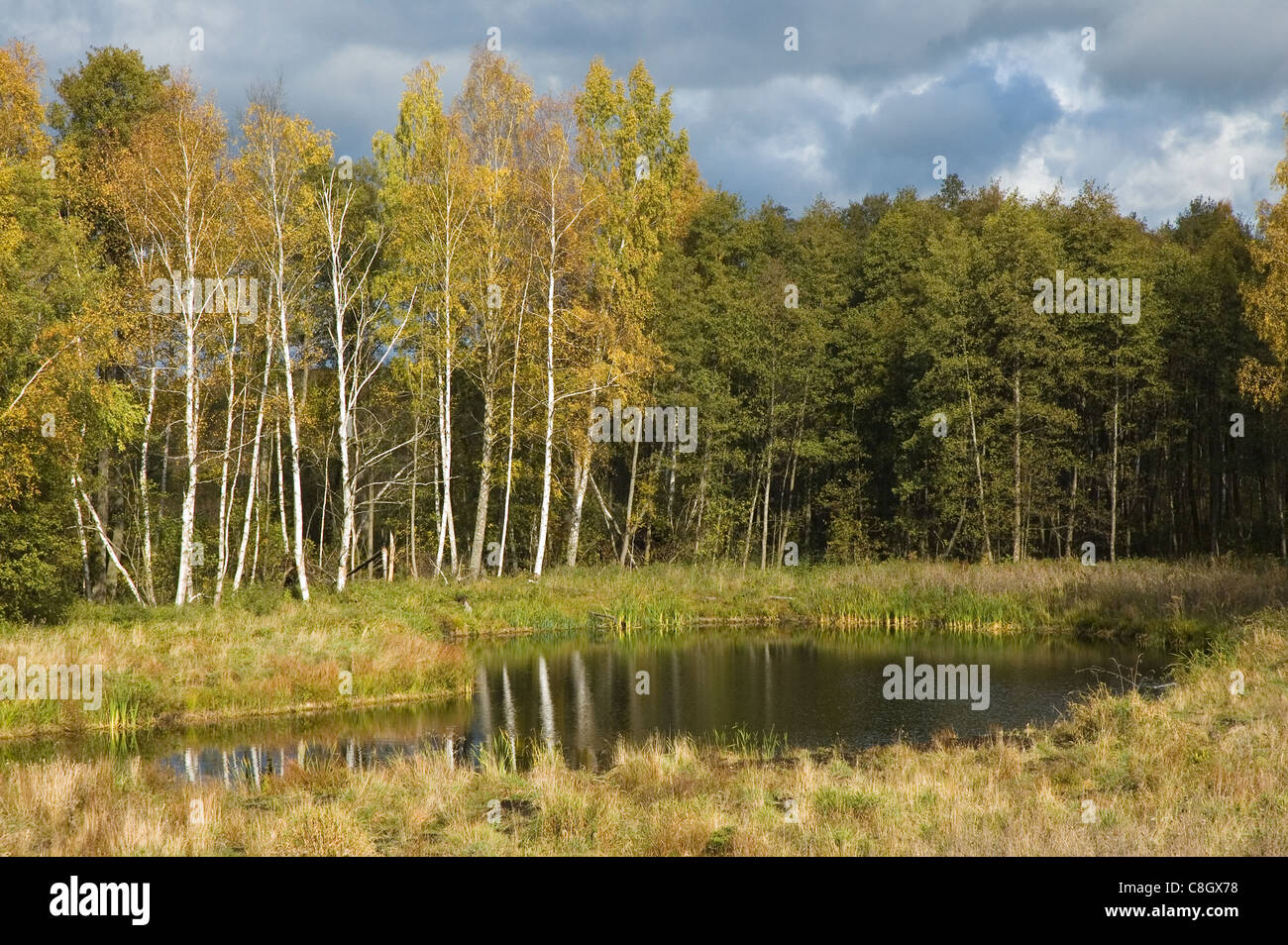 Polish lake district - Masuria in autumn Stock Photo - Alamy