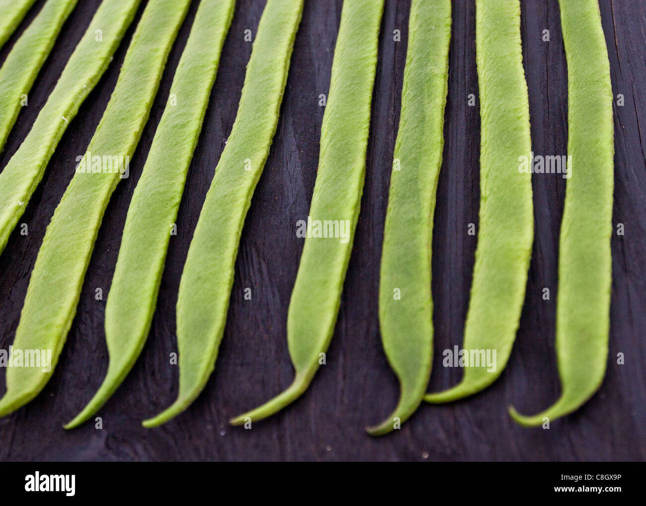 English lines hi-res stock photography and images - Alamy