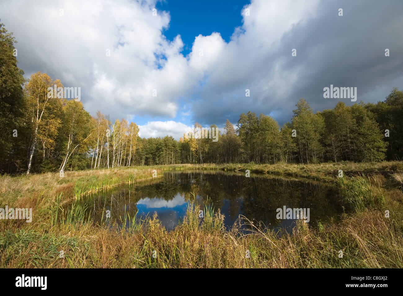 Polish lake district - Masuria in autumn Stock Photo - Alamy