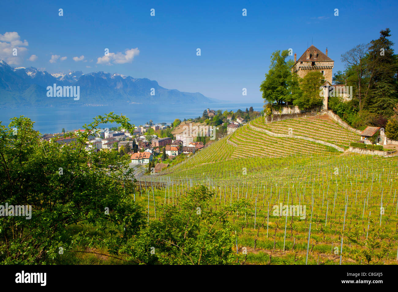 Castle, Châtelard, Switzerland, Europe, canton, Vaud, Genevan, lake ...