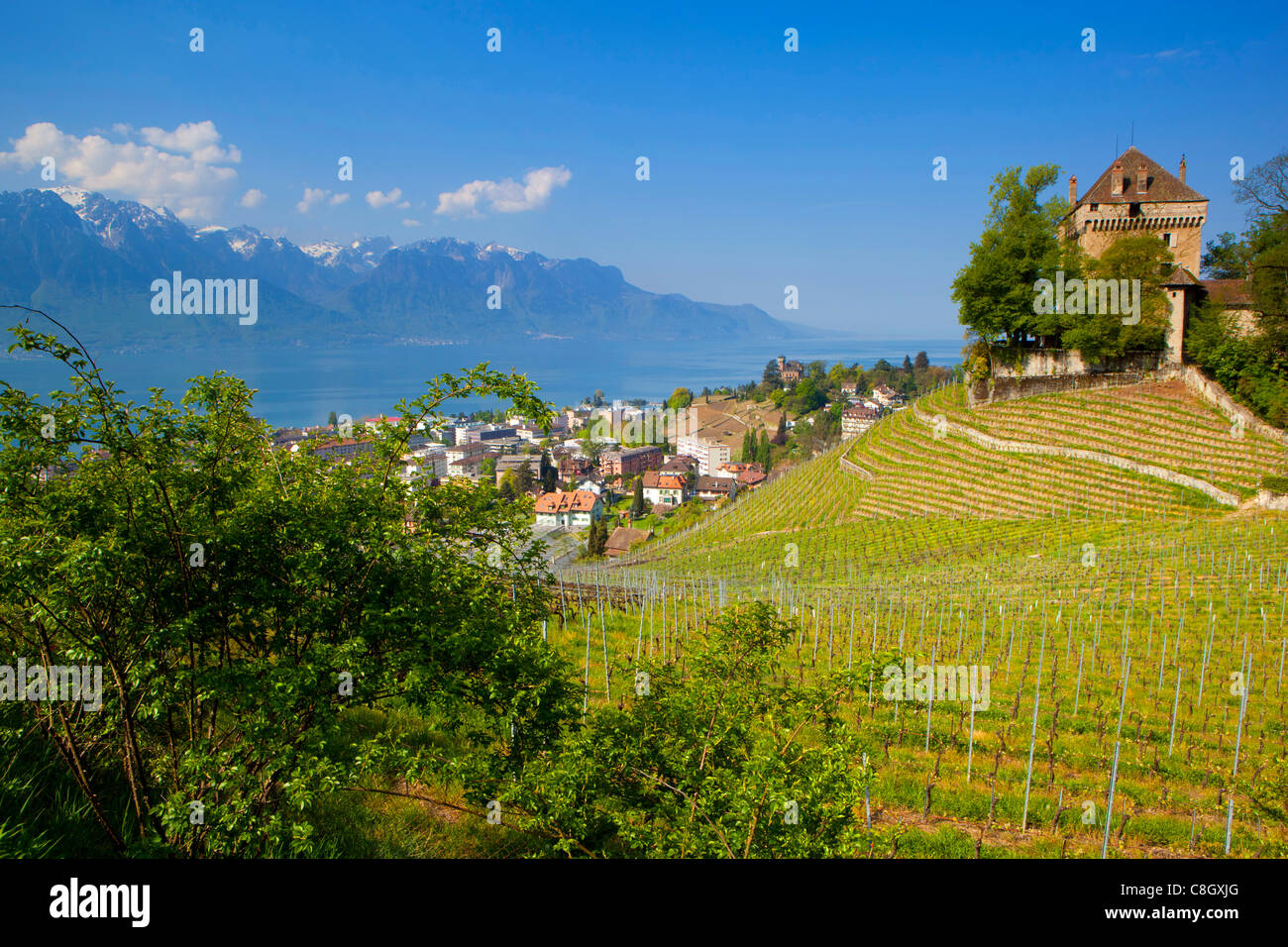 Castle, Châtelard, Switzerland, Europe, canton, Vaud, Genevan, lake ...