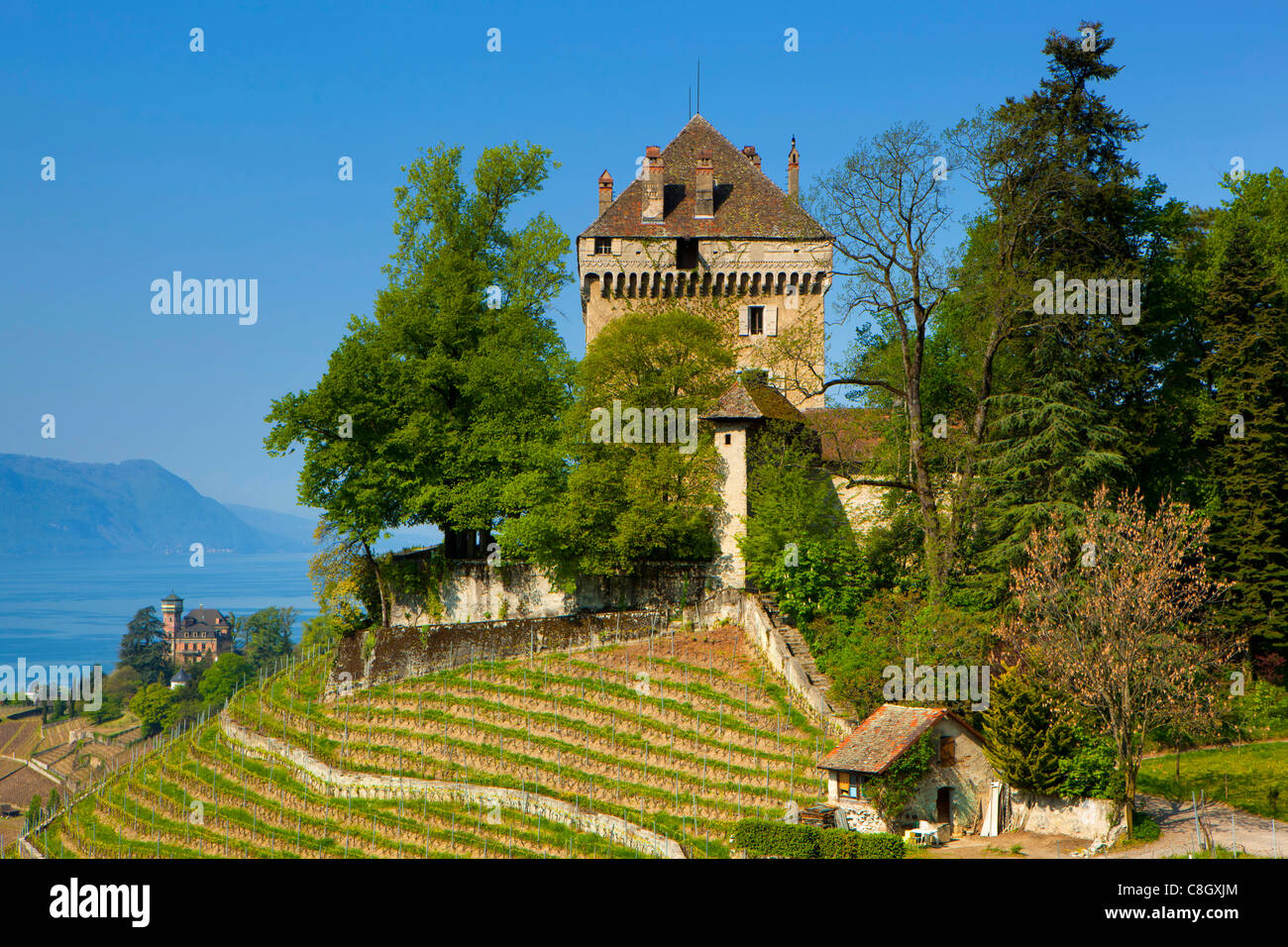 Castle châtelard chatelard switzerland vaud hi-res stock photography ...