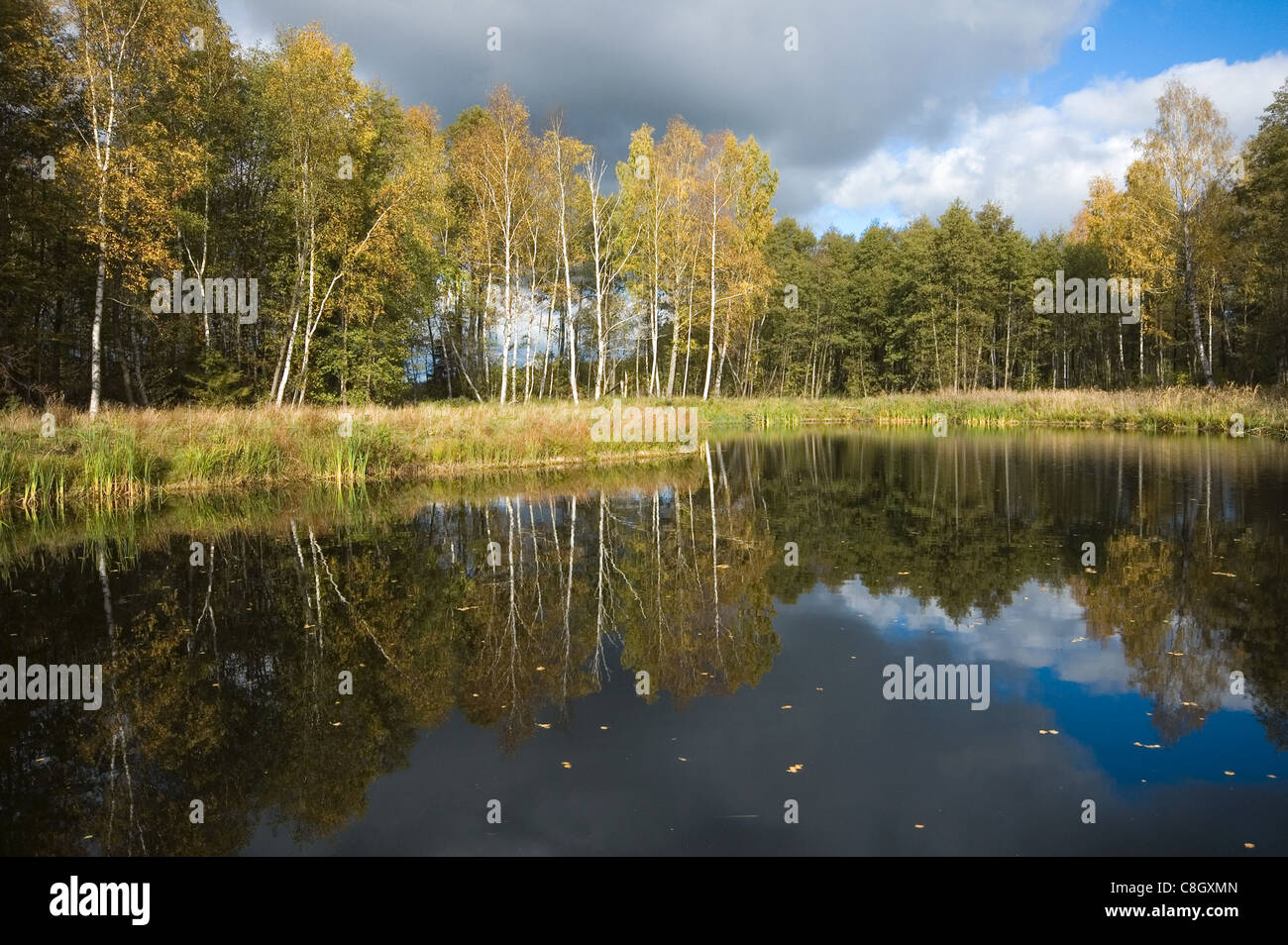Polish lake district - Masuria in autumn Stock Photo - Alamy