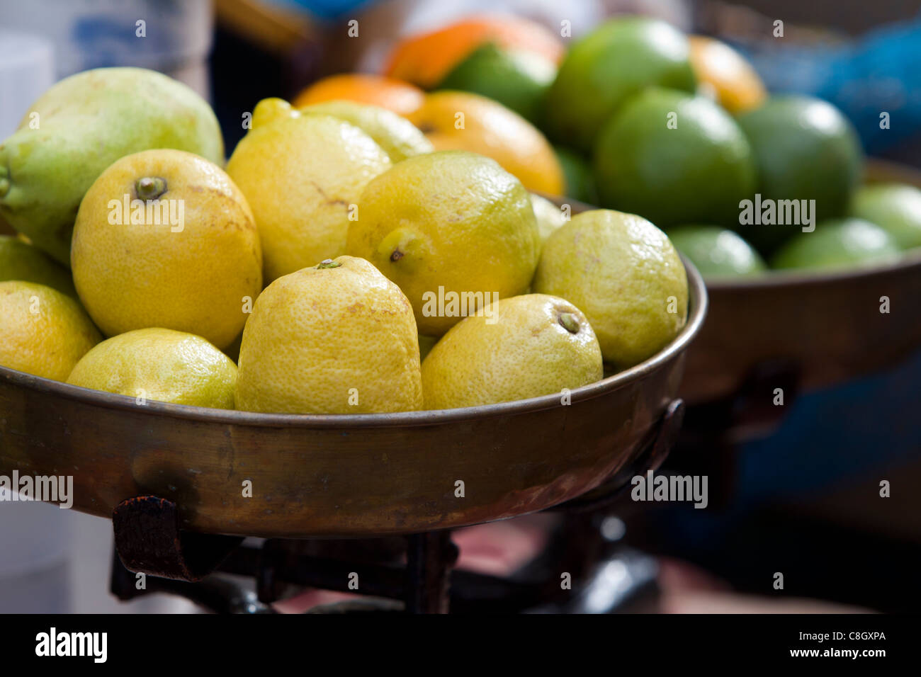 Oval scales hi-res stock photography and images - Alamy