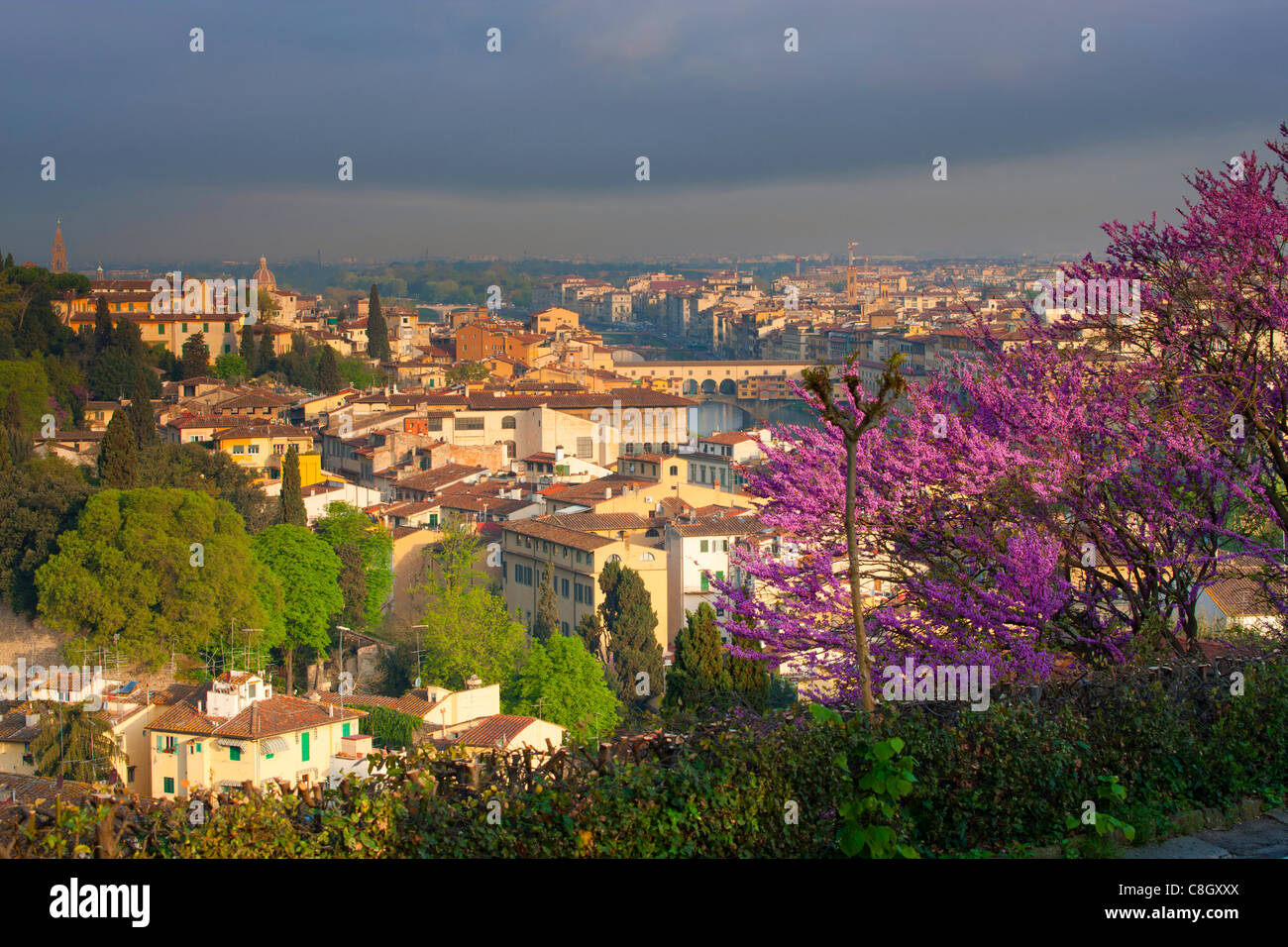 Bridges of florence italy hi-res stock photography and images - Alamy