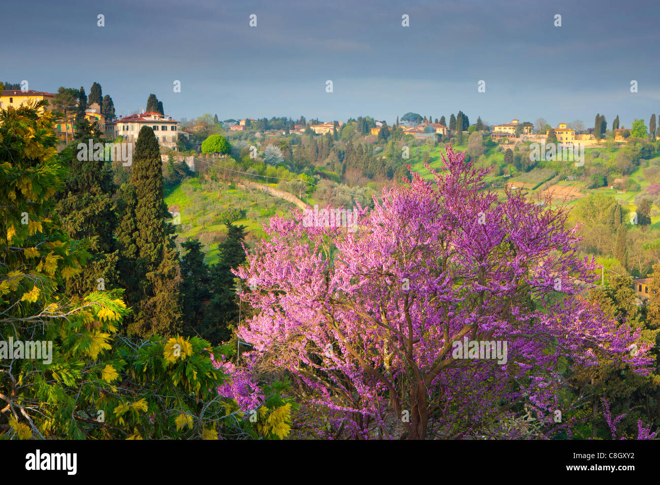 Florence, Italy, Europe, Tuscany, town, city, gardens, morning light ...