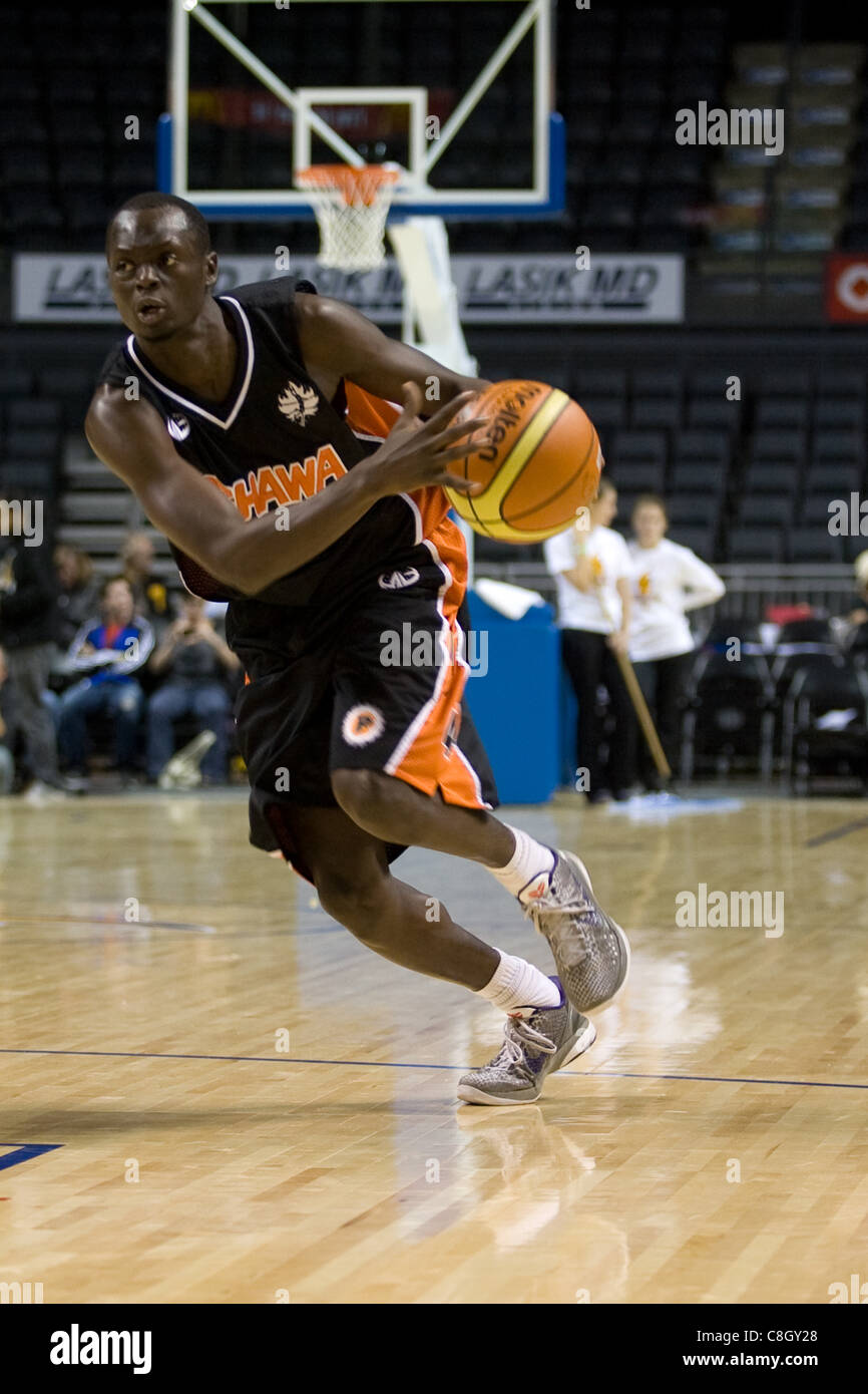 National basketball centre hi-res stock photography and images - Alamy