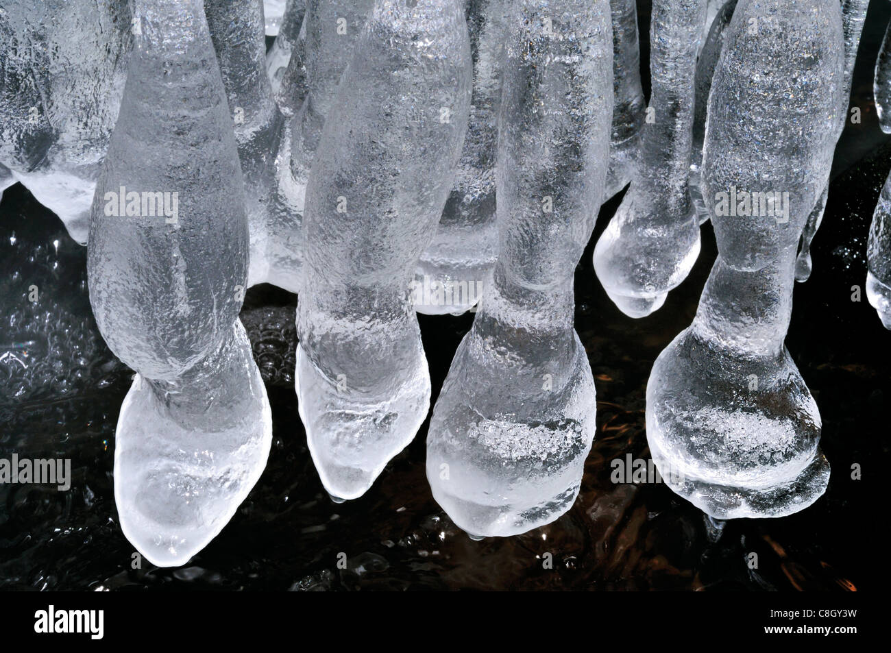 Germany, Odenwald: Frozen "Ice feet" at a margin of little creek in the ...