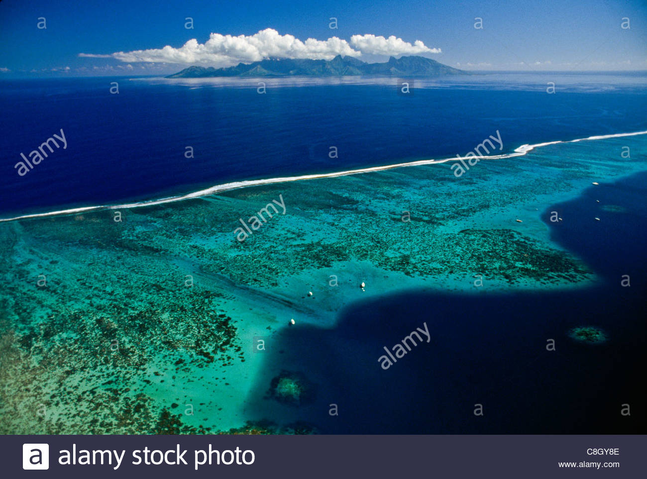 Tahiti Coral Reef Stock Photos & Tahiti Coral Reef Stock Images - Alamy