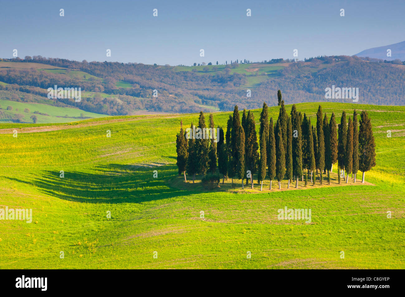 Torrenieri, Italy, Europe, Tuscany, crest, ridge, horizon, skyline ...