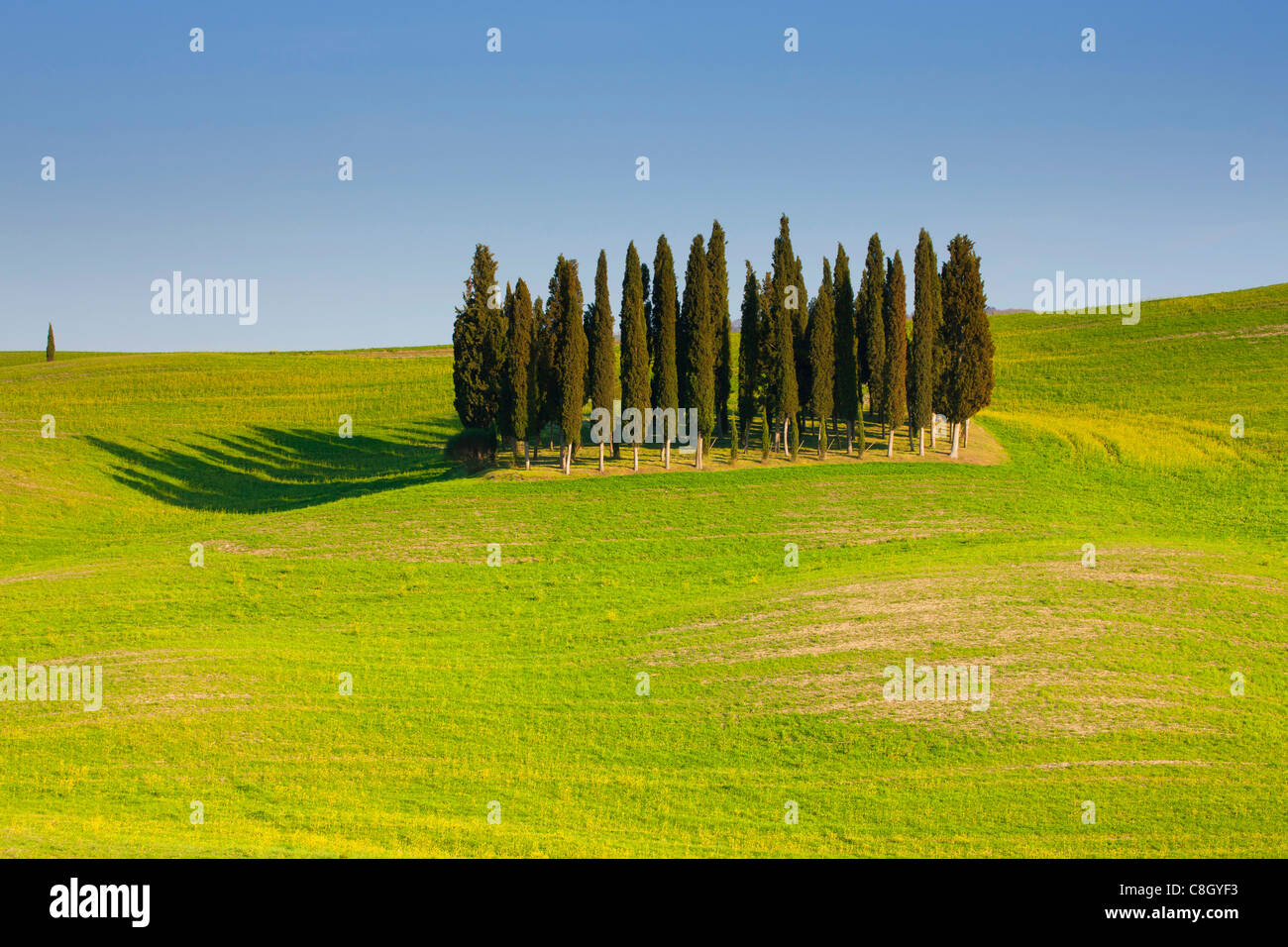Torrenieri, Italy, Europe, Tuscany, crest, ridge, horizon, skyline ...