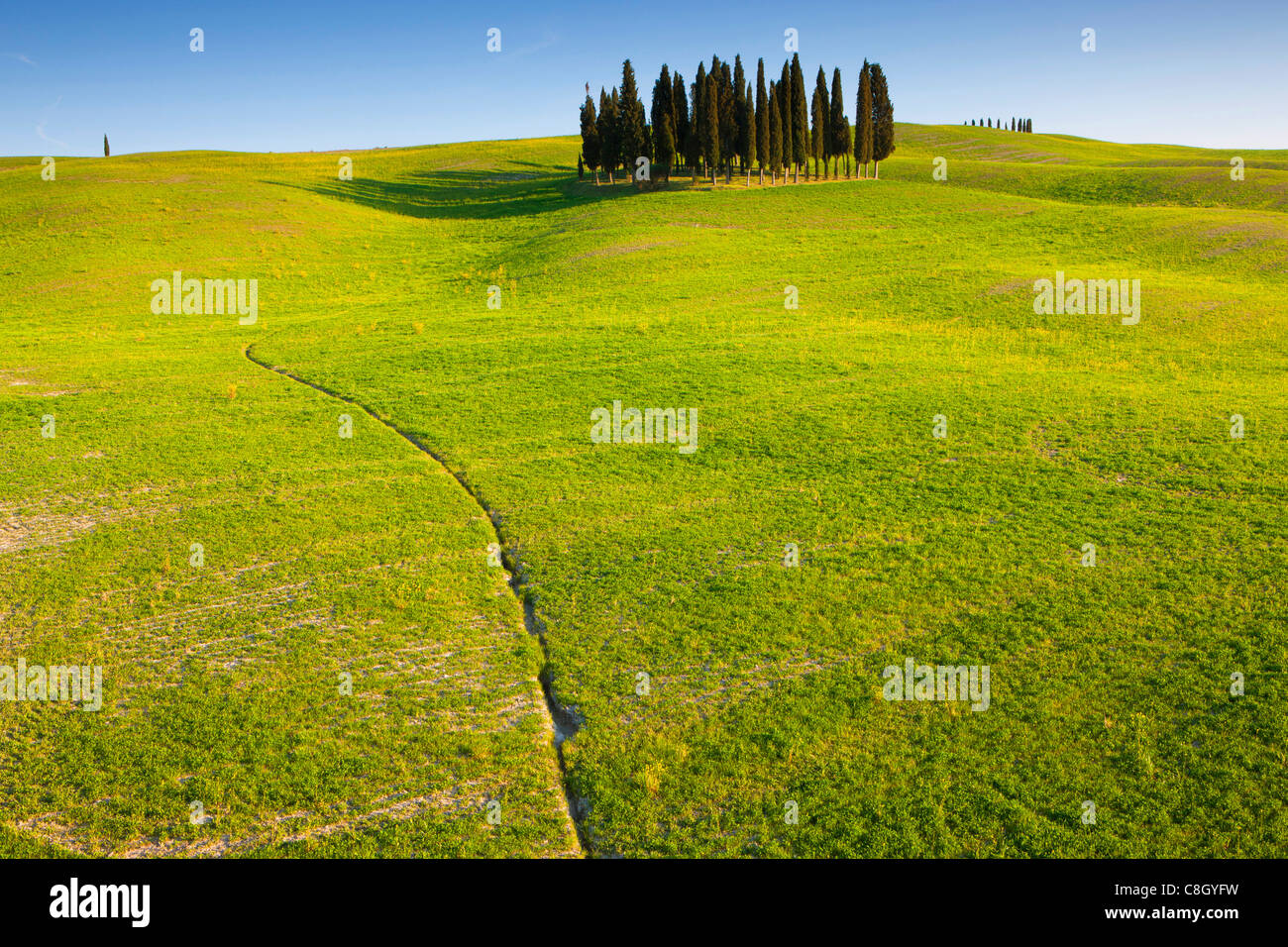 Skyline crest hi-res stock photography and images - Alamy