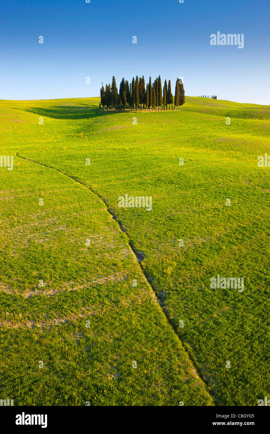 Ridge skyline hi-res stock photography and images - Alamy
