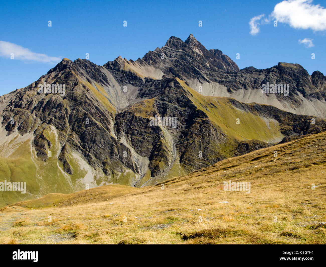 Alpine meadows, northern europe hi-res stock photography and images - Alamy