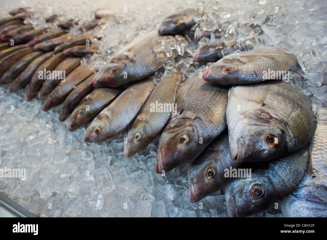 Porgies hi-res stock photography and images - Alamy