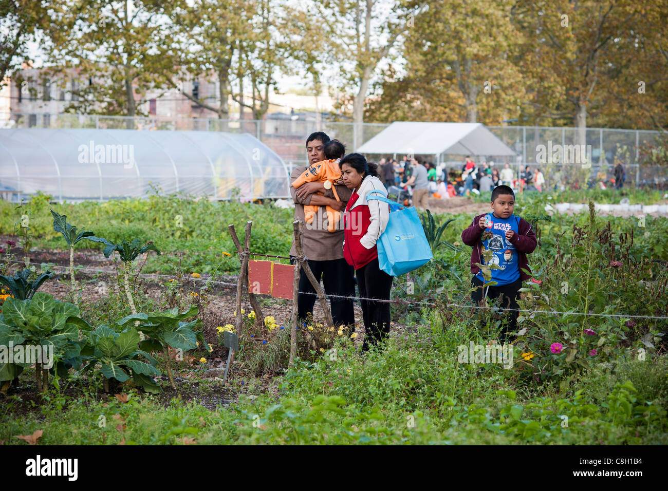 Latin america family farmers hi-res stock photography and images - Alamy