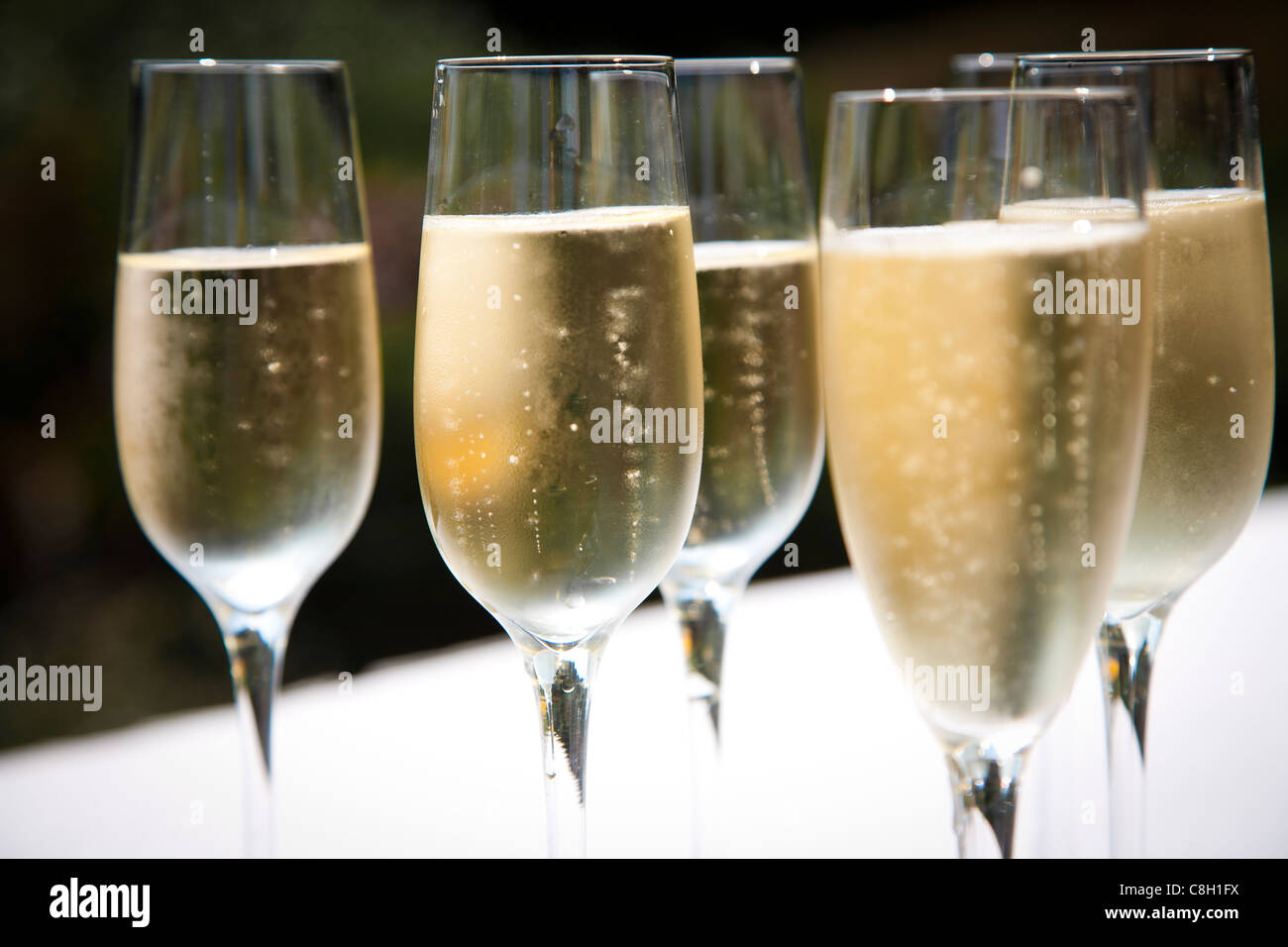Five glasses of Champagne Stock Photo - Alamy