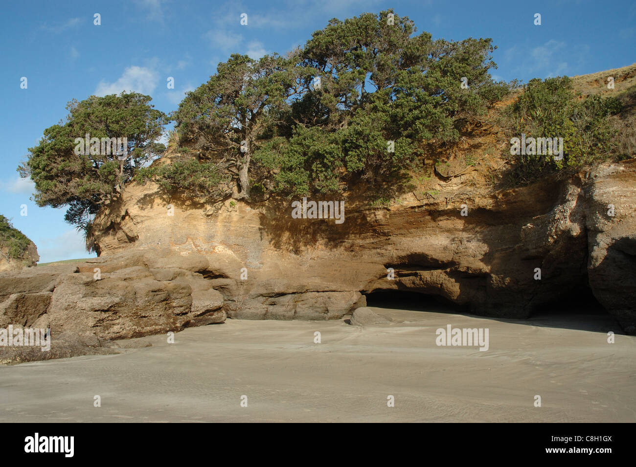 Anchor Bay Tawharanui Stock Photo - Alamy