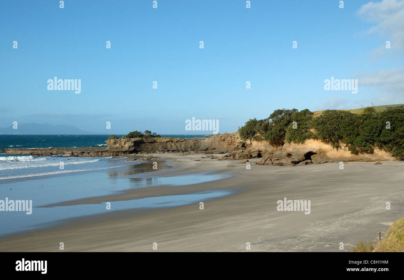 Tawharanui Regional Park High Resolution Stock Photography and Images ...