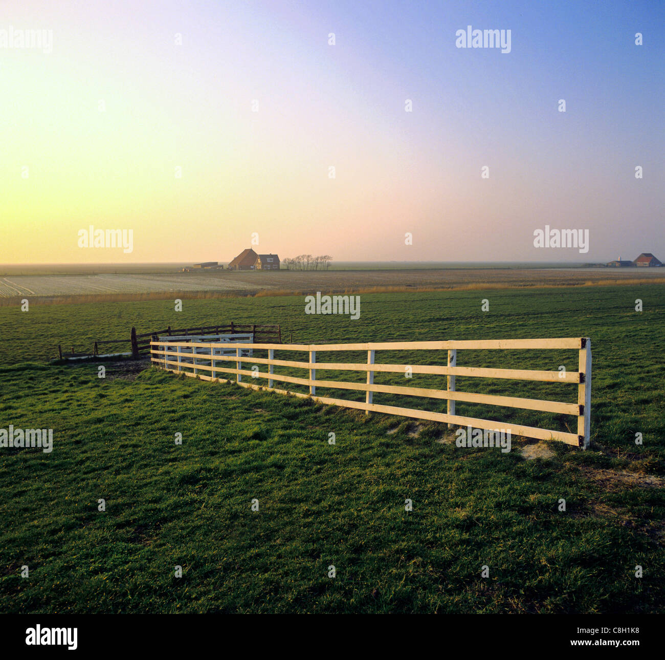 Netherlands, Holland, Europe, Friesland, fence, landscape, farm Stock ...