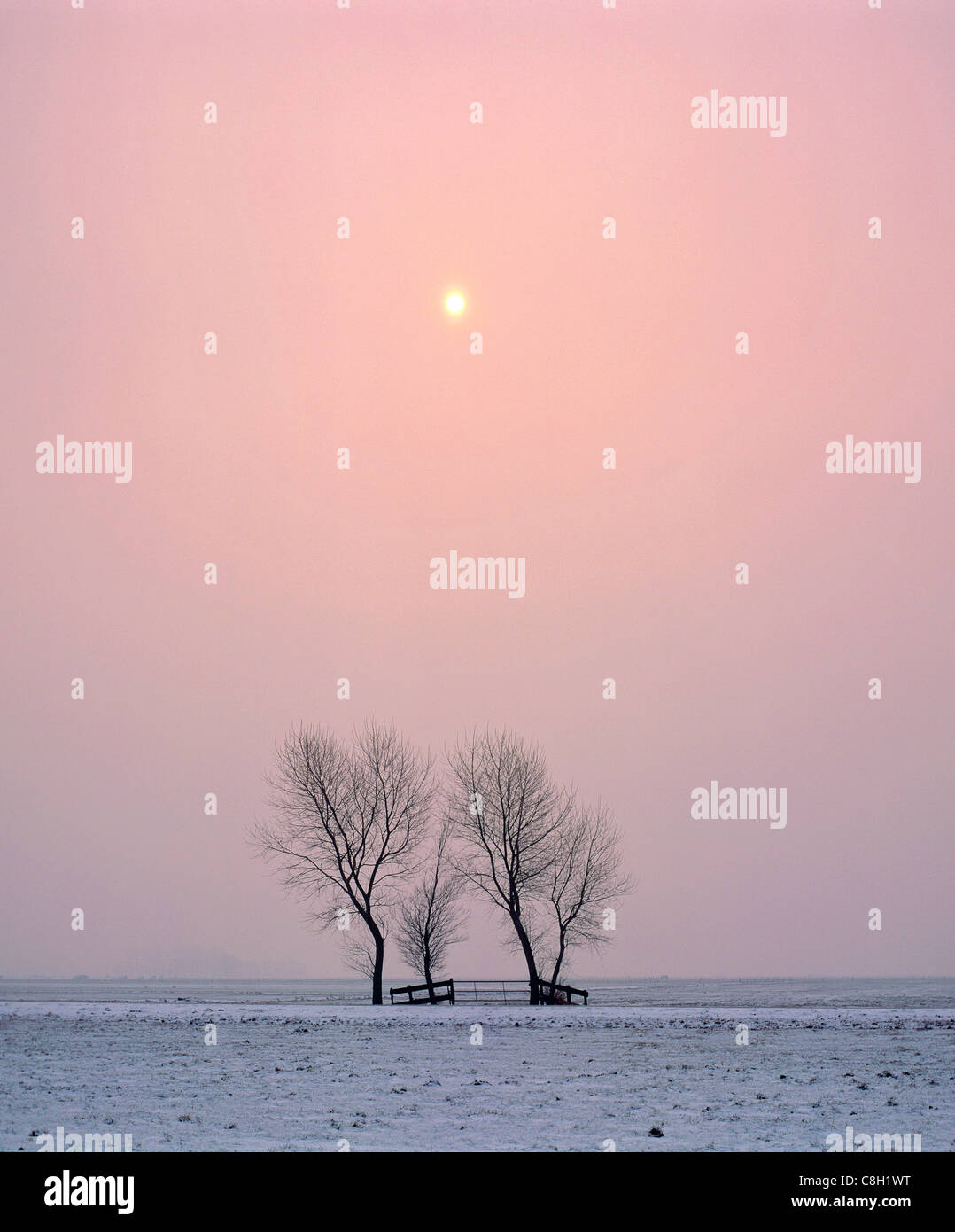 Utrecht landscape hi-res stock photography and images - Alamy