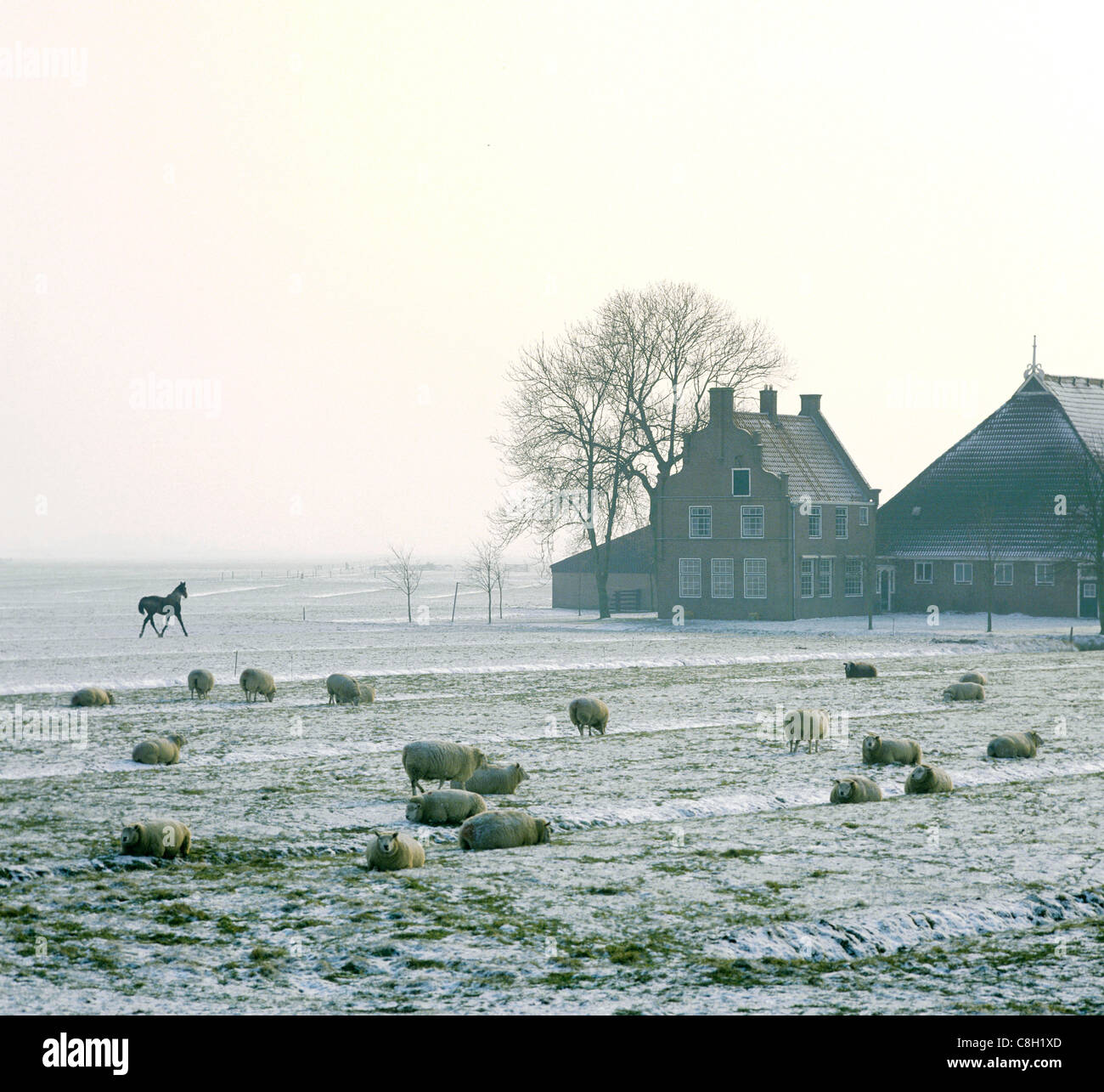 Winter Farm Landscapes Winter Farm.