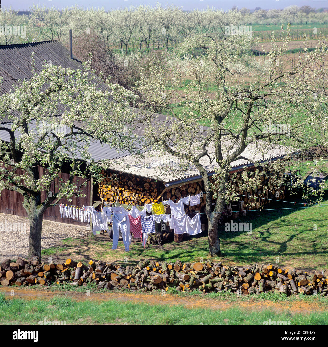 Netherlands, Holland, Europe, Amsterdam, Gelderland, farm laundry ...