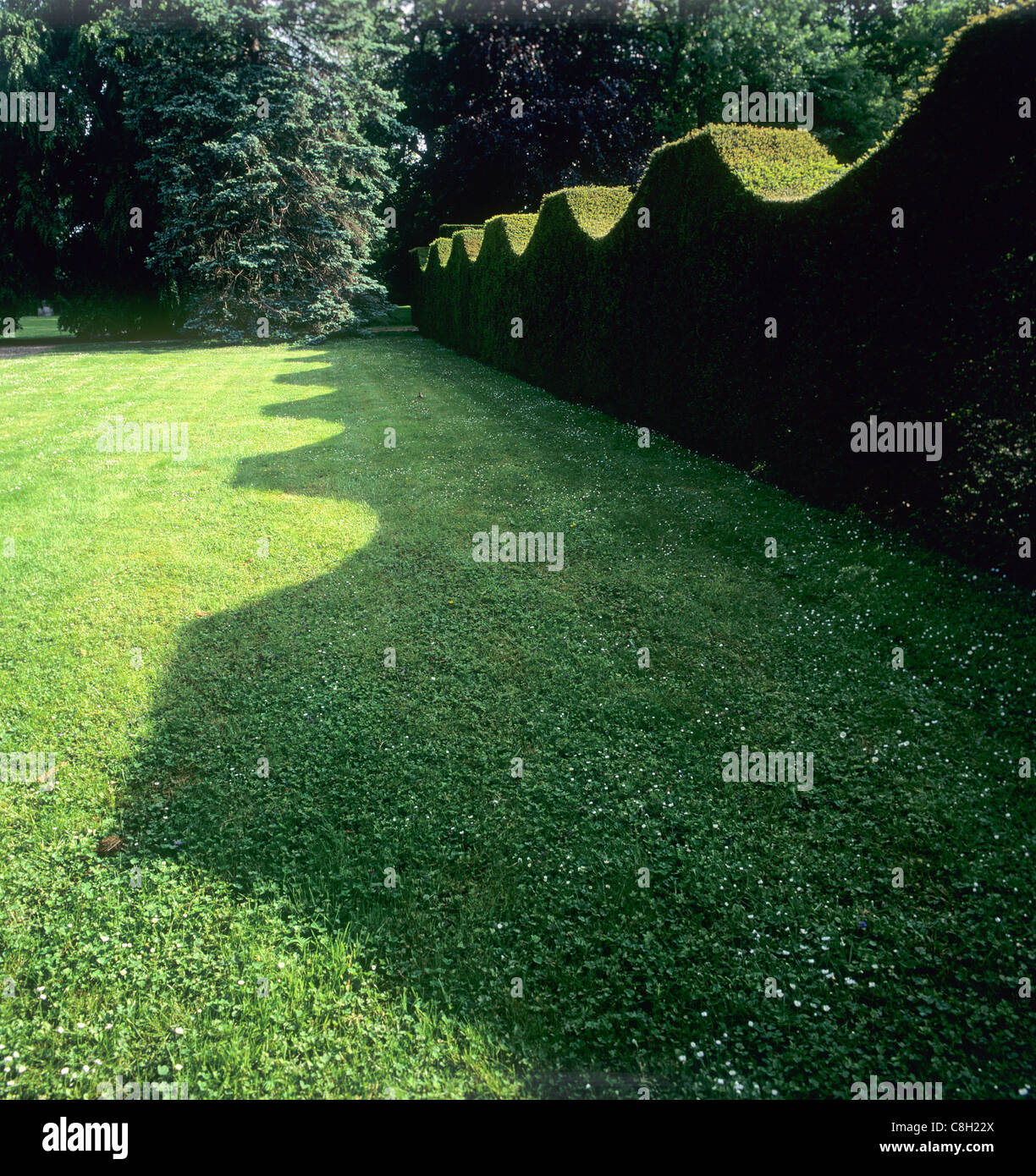 Netherlands, Holland, Europe, Limburg, Eijsden, park, hedge Stock Photo ...