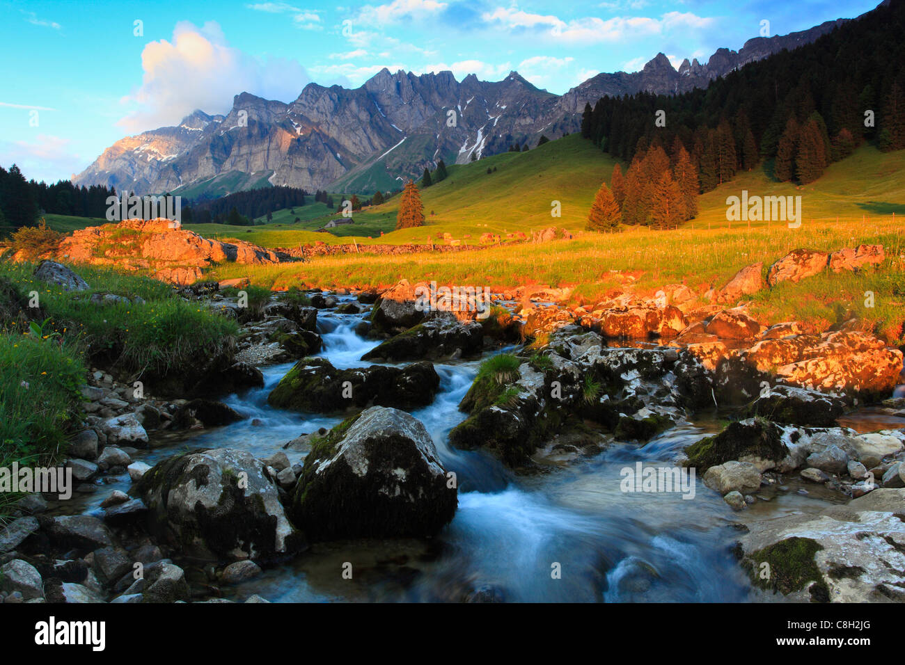 Evening, evening light, afterglow, Alp, alps, flora, afterglow ...