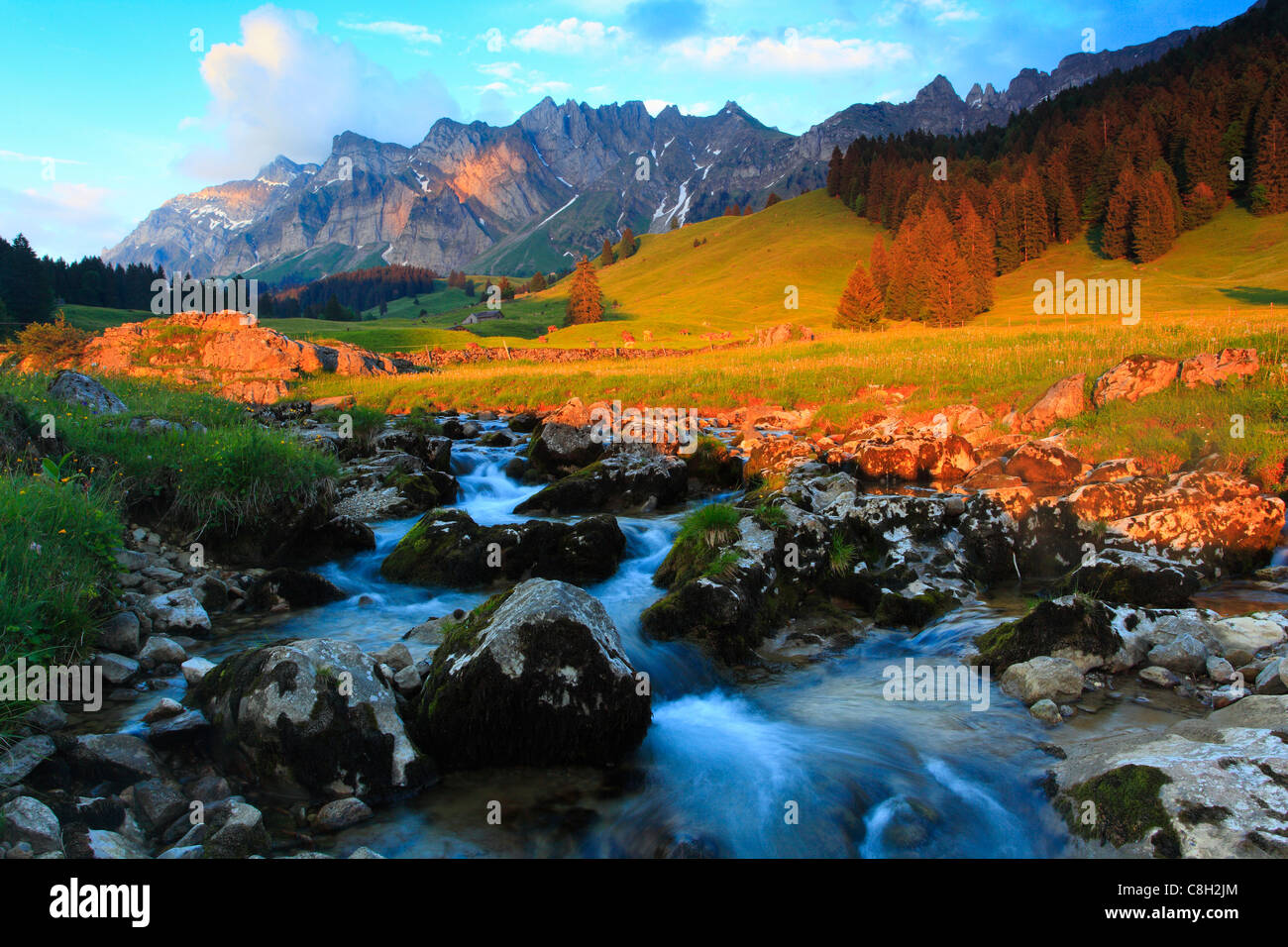 Evening, evening light, afterglow, Alp, alps, flora, afterglow ...