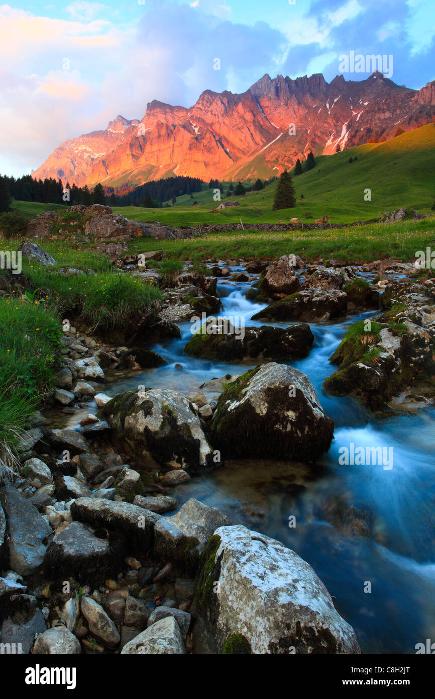 Evening, evening light, afterglow, Alp, alps, flora, afterglow ...