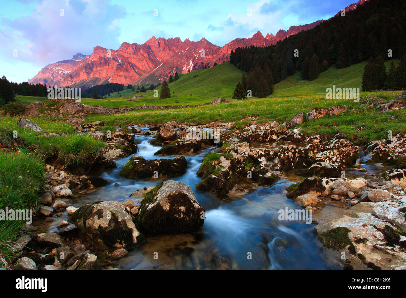 Evening, evening light, afterglow, Alp, alps, flora, afterglow ...