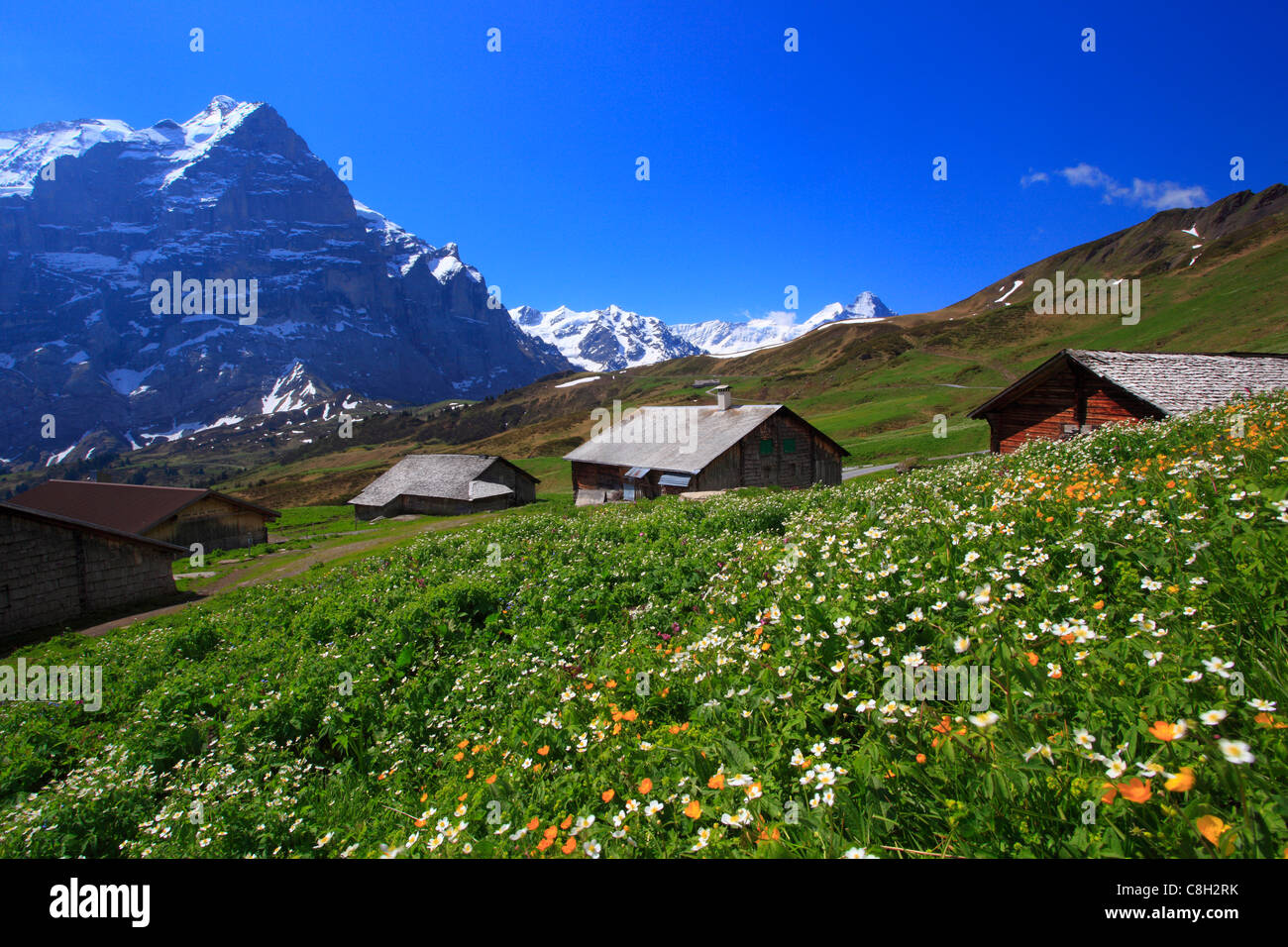 Nightmare huts hi-res stock photography and images - Alamy