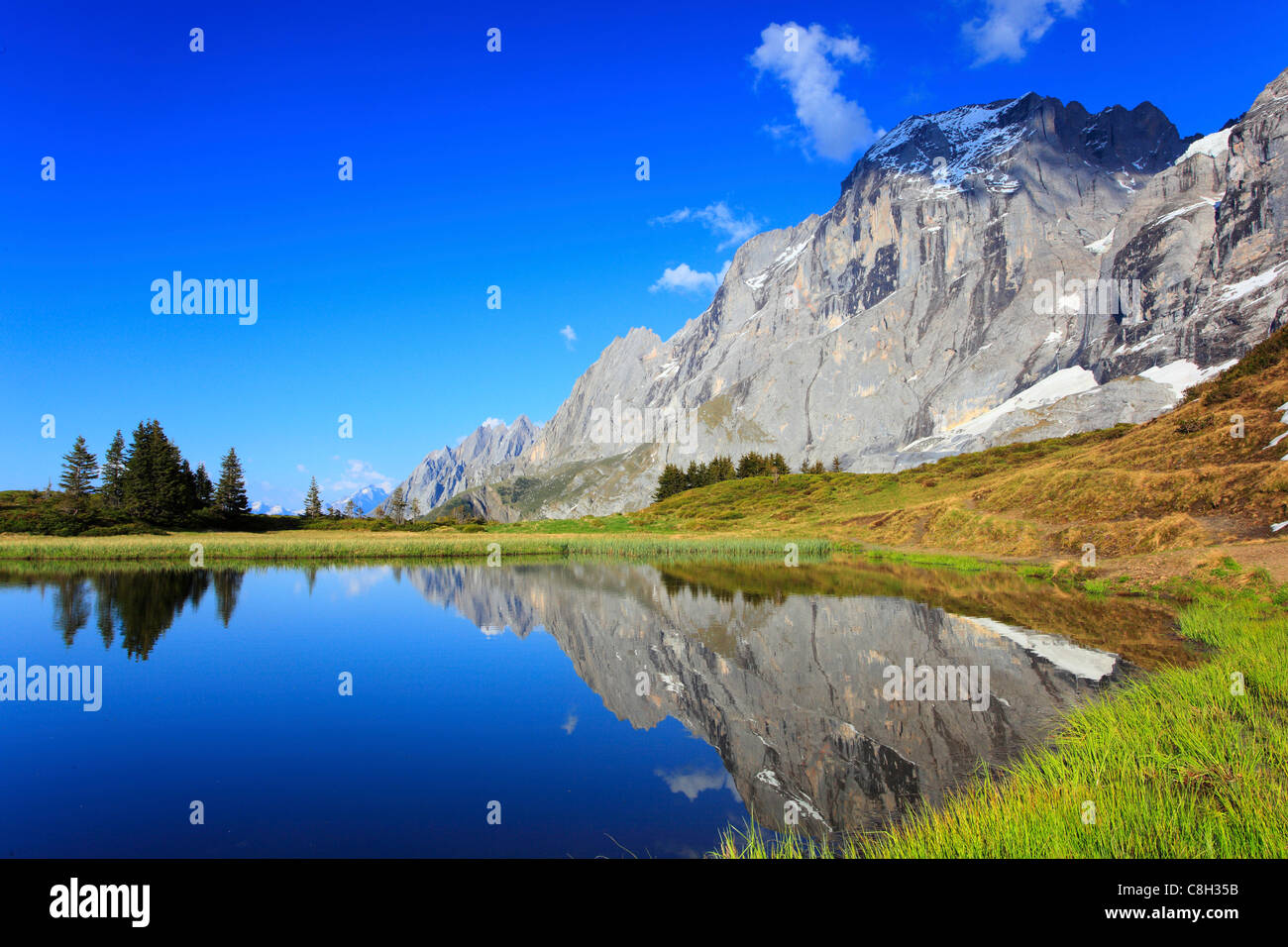 Alp, Alps, view, mountain, mountains, mountain spring, mountain massif ...