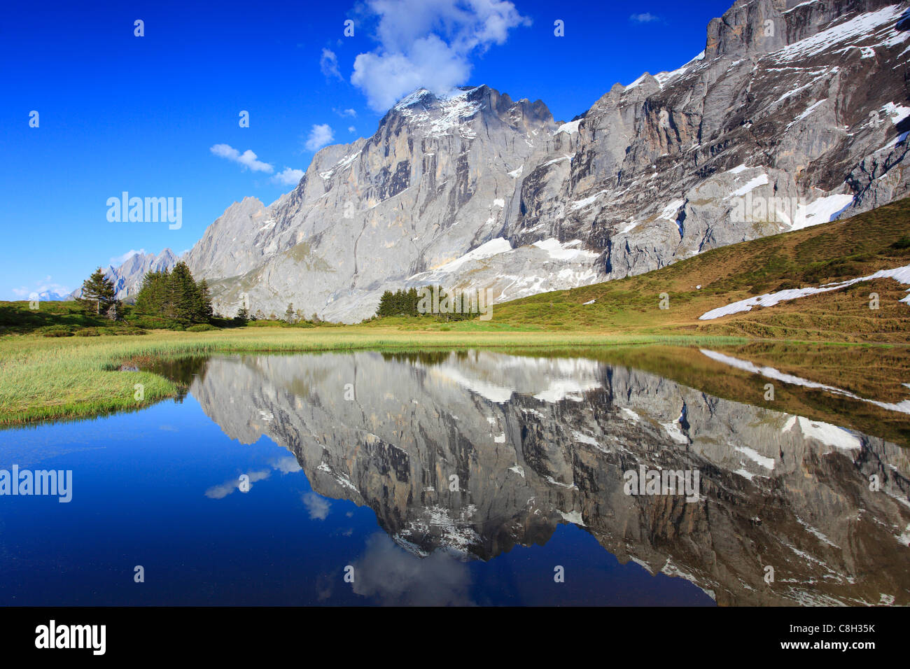 Alp, Alps, view, mountain, mountains, mountain spring, mountain massif ...
