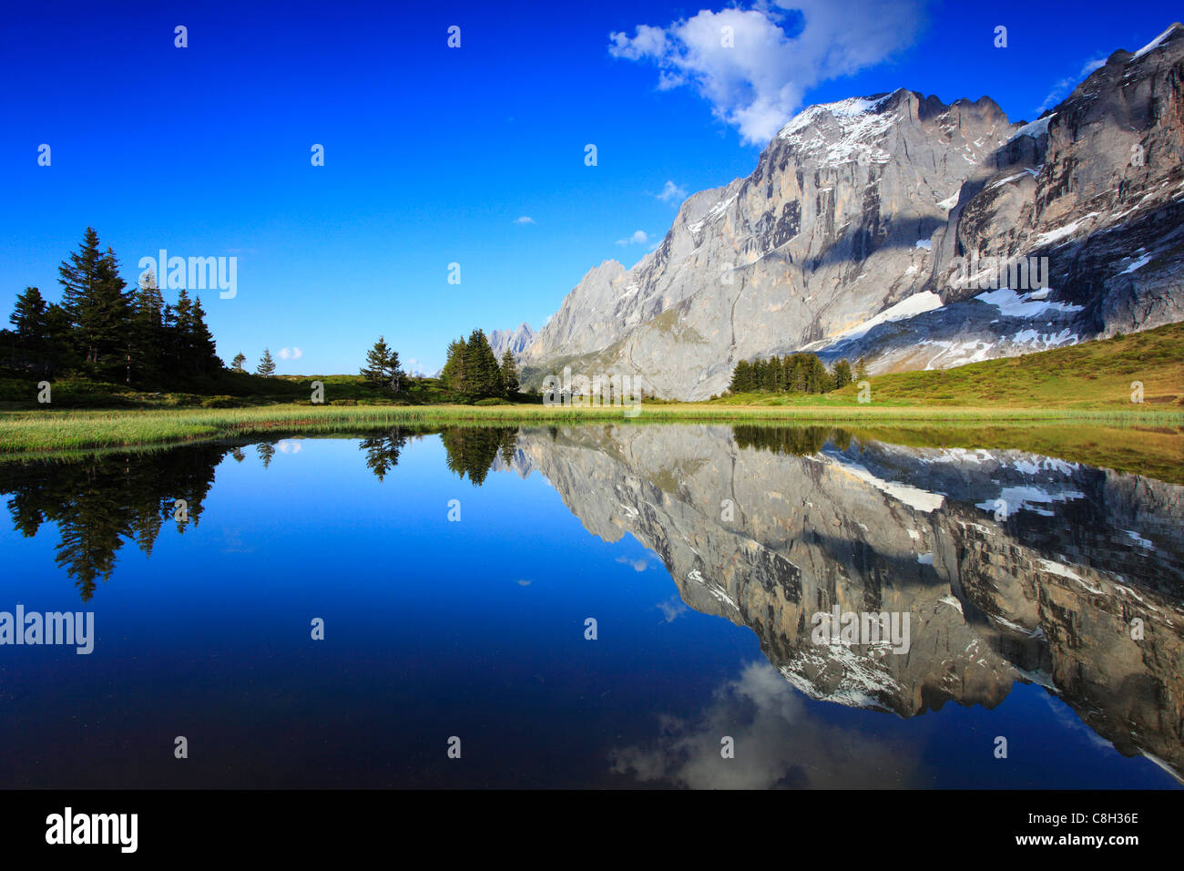 Alp, Alps, view, mountain, mountains, mountain spring, mountain massif ...