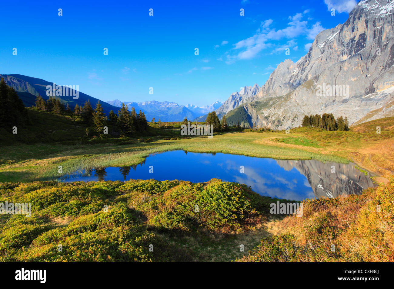 Alp, Alps, view, mountain, mountains, mountain spring, mountain massif ...