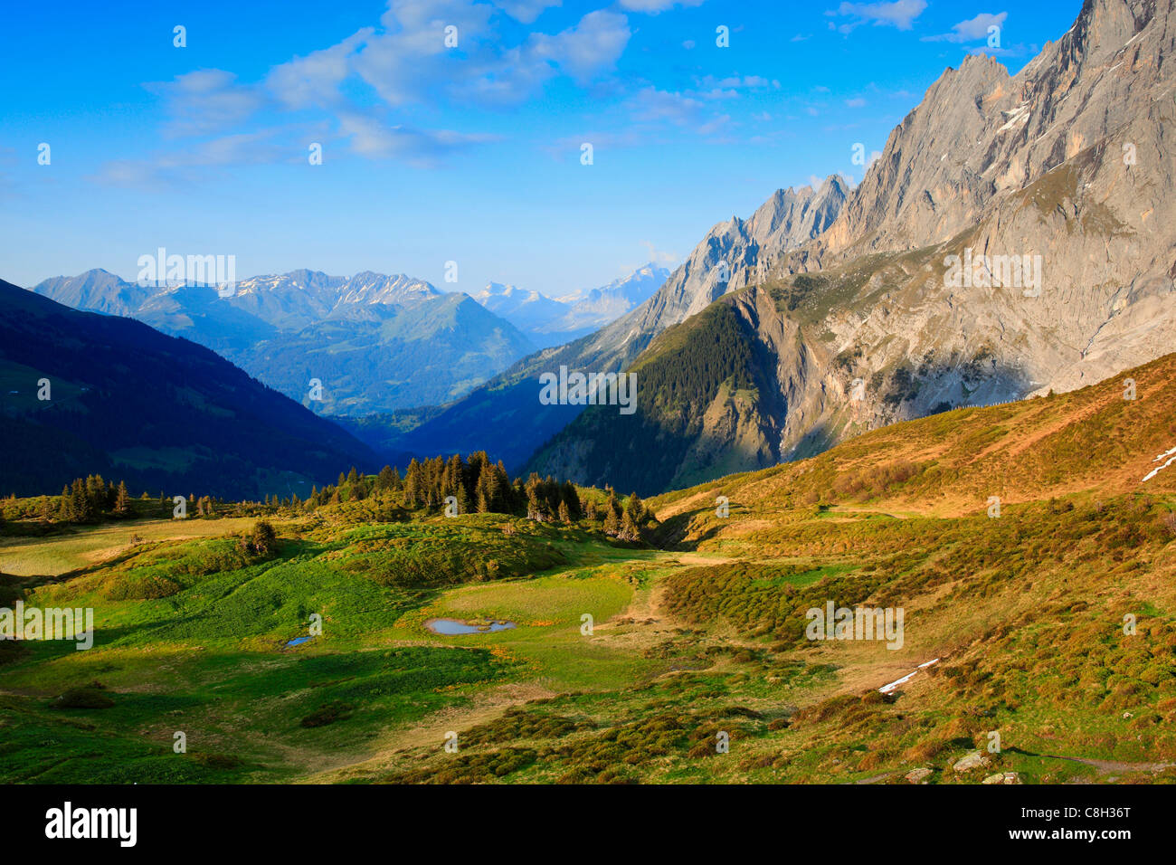 Alp, Alps, view, mountain, mountains, mountain spring, mountain massif ...