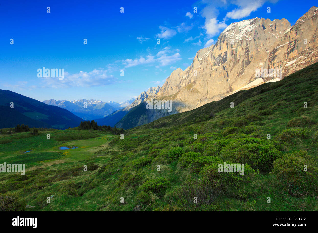 Alp, Alps, view, mountain, mountains, mountain spring, mountain massif ...