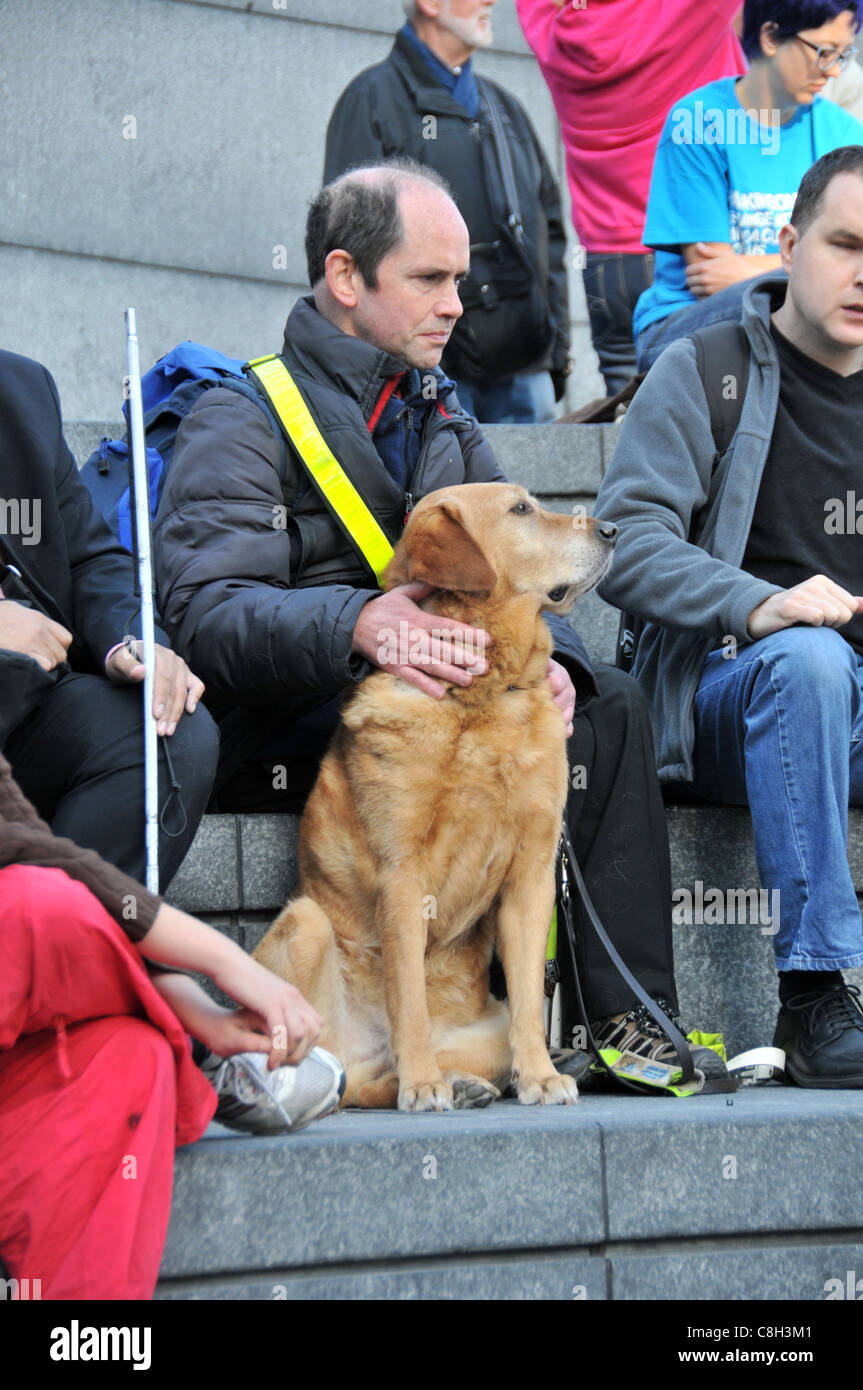 Blind man and guide dog Hardest Hit protest against benefit means test ...