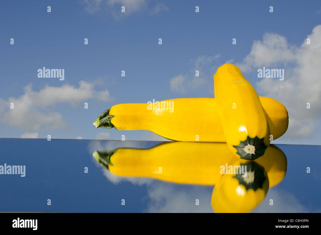 two yellow courgettes on mirror and sky clouds Stock Photo - Alamy