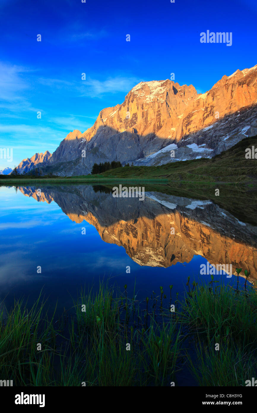 Evening, Alp, Alps, afterglows, view, mountain, mountains, mountain ...
