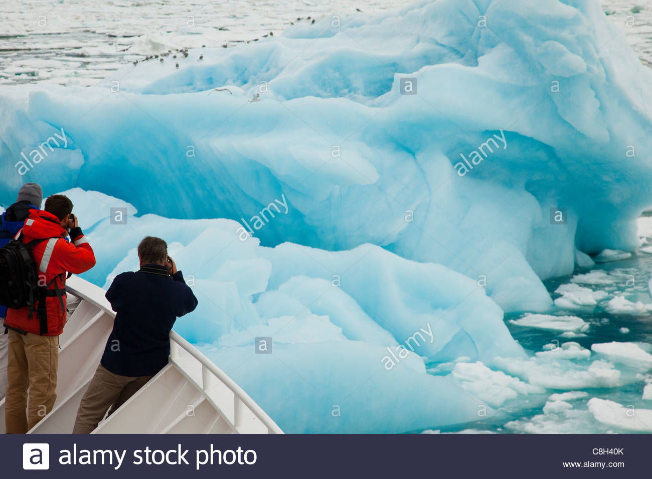 Tourists look at pack ice from the bow of a cruise ship Stock Photo - Alamy